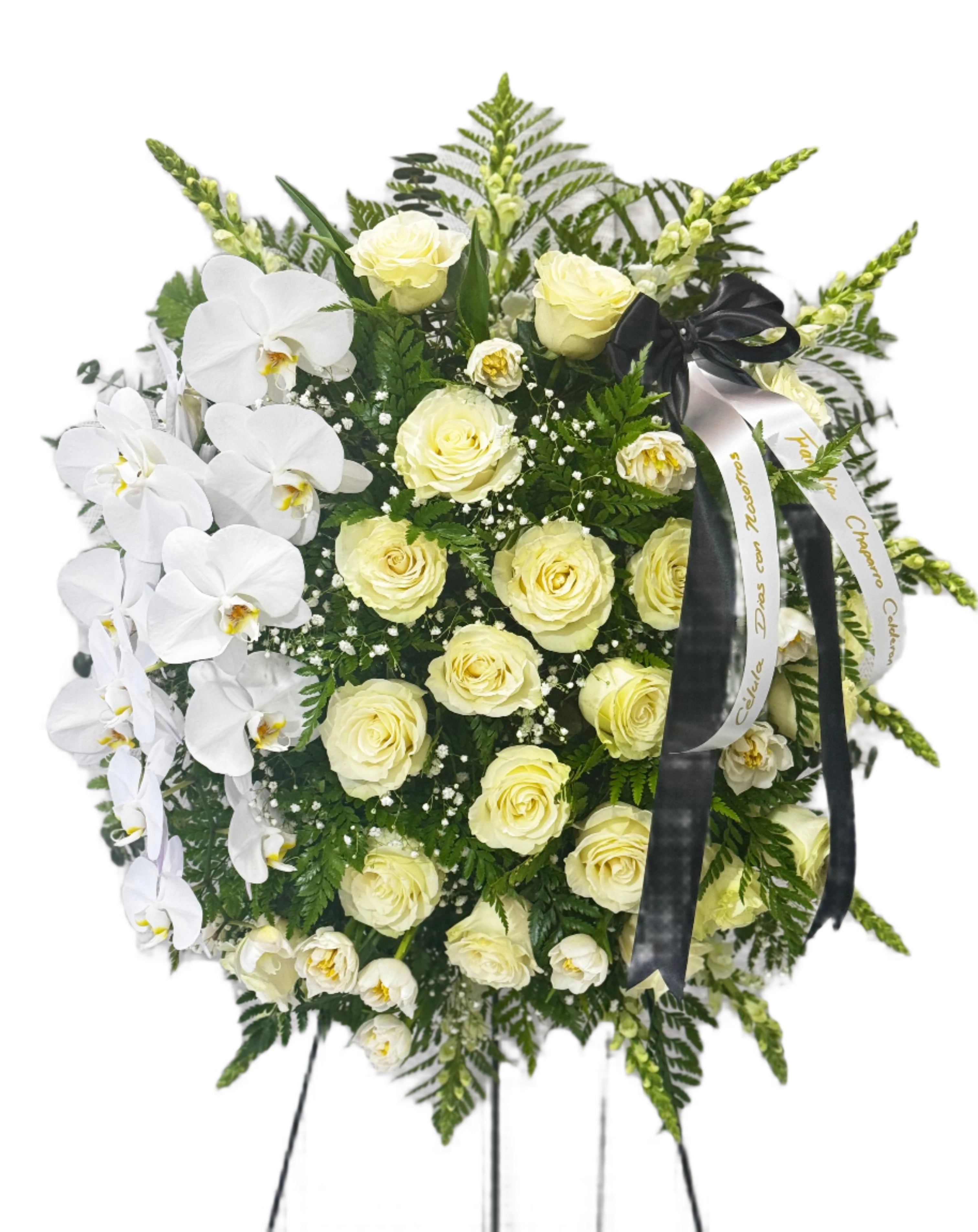 Sympathy Collection – Lovely Orchid Store